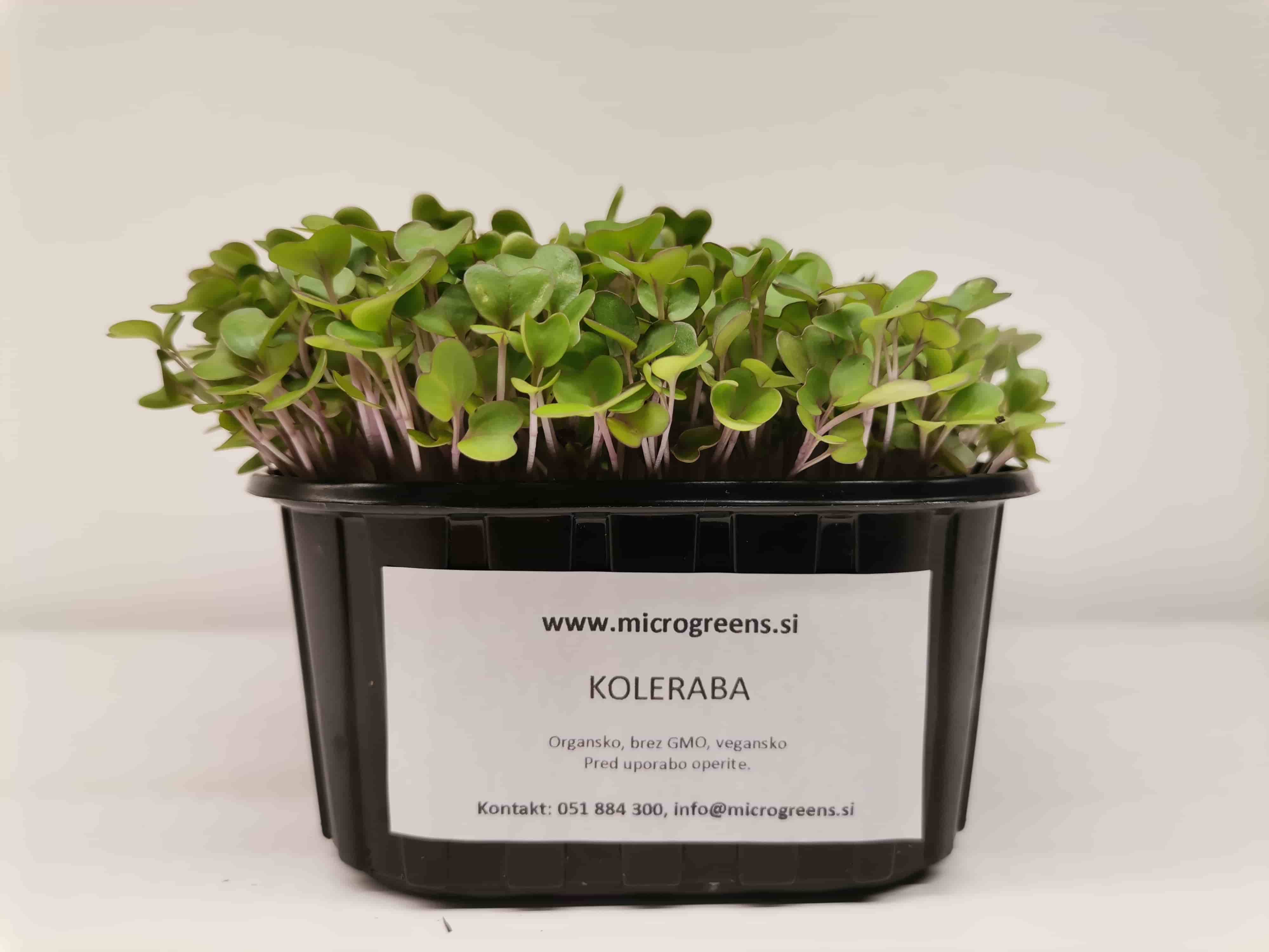 microgreens.si